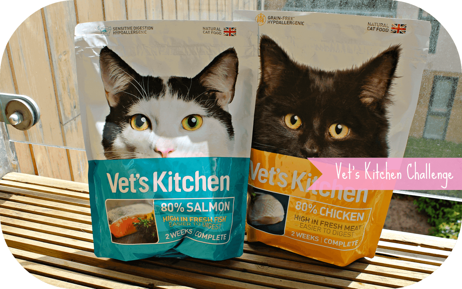 Vets Kitchen Challenge
